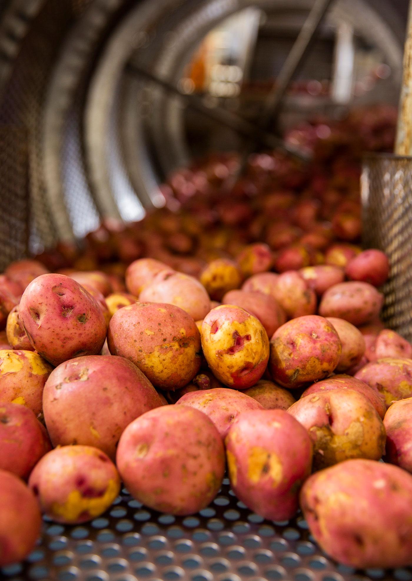 Destilería - De Cajón Vodka - Destilado de Papas Peruanas